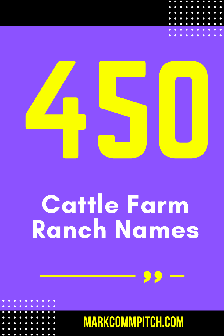 450 Of The Best Cattle Farm Ranch Name Ideas
