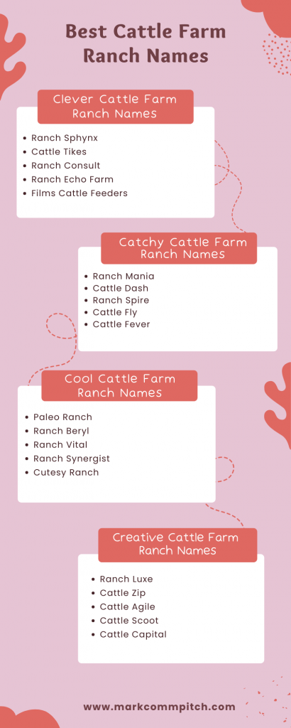 450 of the Best Cattle Farm Ranch Name Ideas